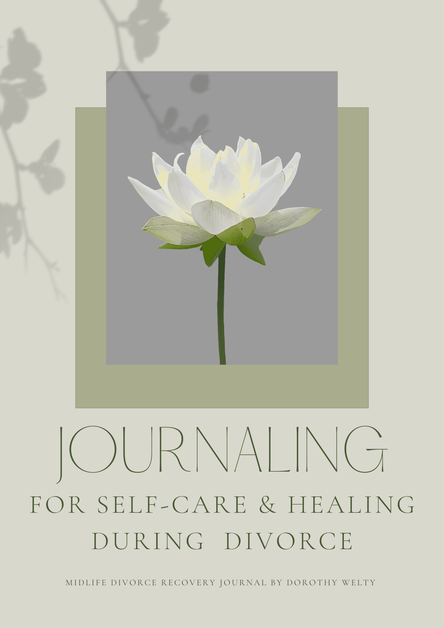Midlife Divorce Recovery Dorothy Welty